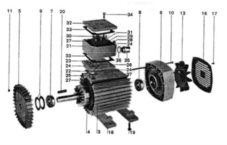 Trifazni asinhronski elektromotorji s kratkostično kletko zaprte ...
